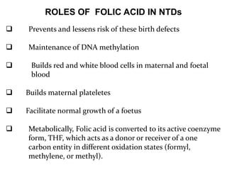 NEURAL TUBE DEFECTS (NTDs) IN INFANTS | PPTX | Pregnancy | Reproductive ...
