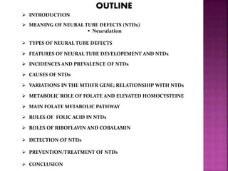 NEURAL TUBE DEFECTS (NTDs) IN INFANTS | PPTX | Pregnancy | Reproductive ...