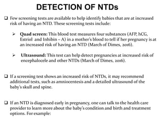 NEURAL TUBE DEFECTS (NTDs) IN INFANTS | PPTX | Pregnancy | Reproductive ...