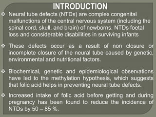 NEURAL TUBE DEFECTS (NTDs) IN INFANTS | PPTX | Pregnancy | Reproductive ...