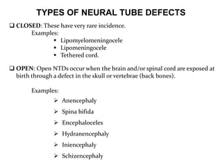 NEURAL TUBE DEFECTS (NTDs) IN INFANTS | PPTX