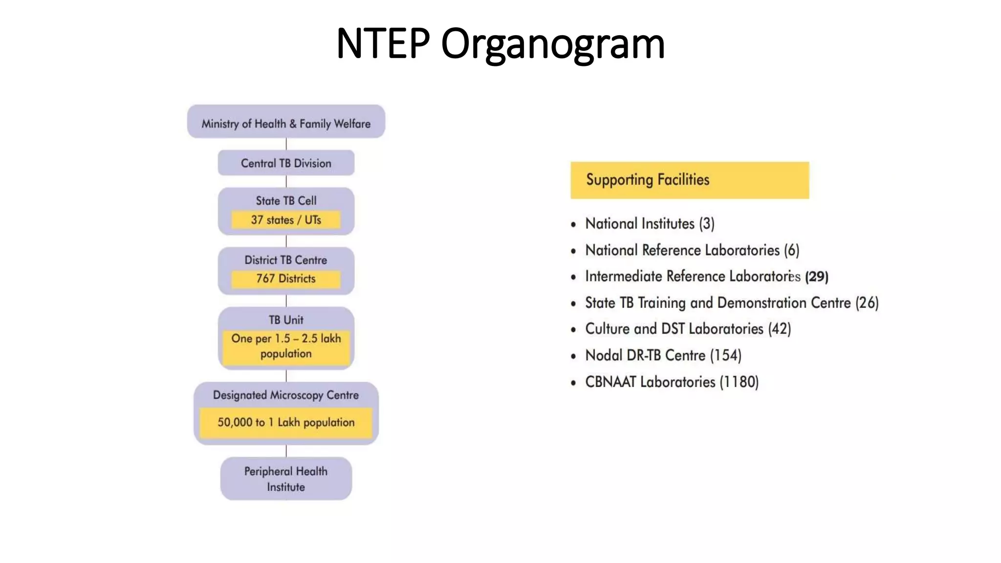 NTEP | PPTX | Lung and Respiratory Health | Diseases and Conditions