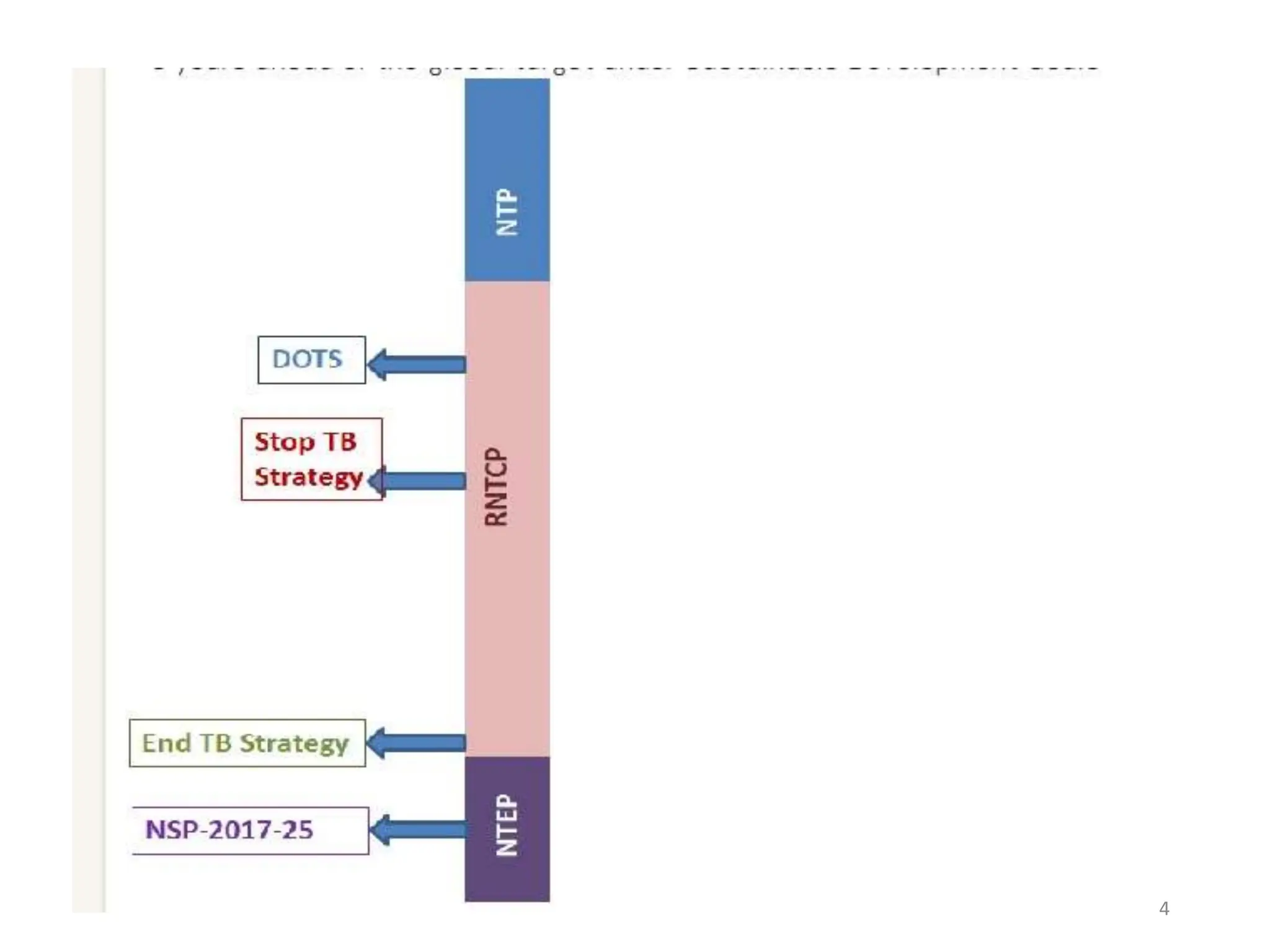 NTEP.pptx