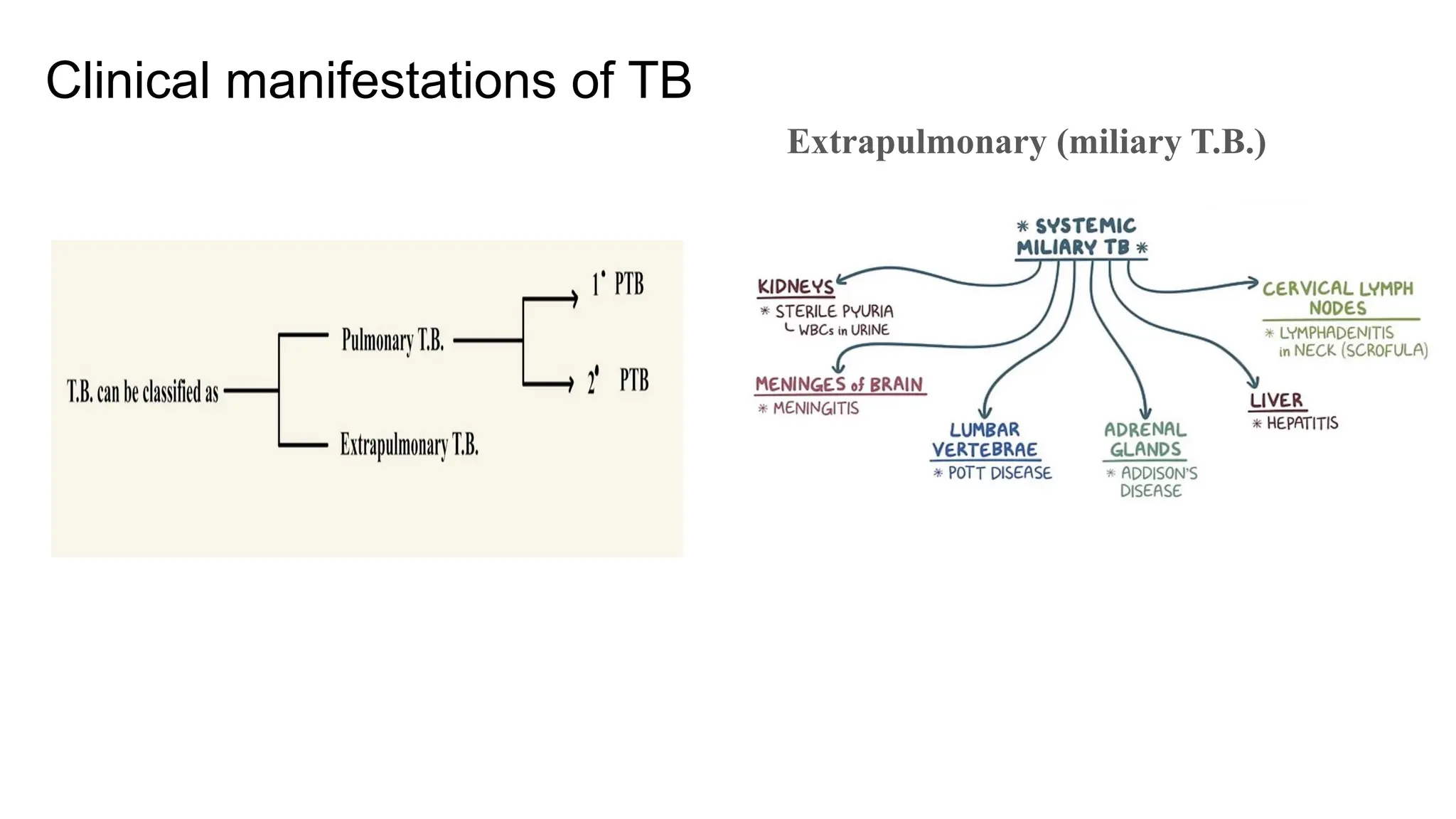 NTEP ( National TB elimination programme ) | PPTX