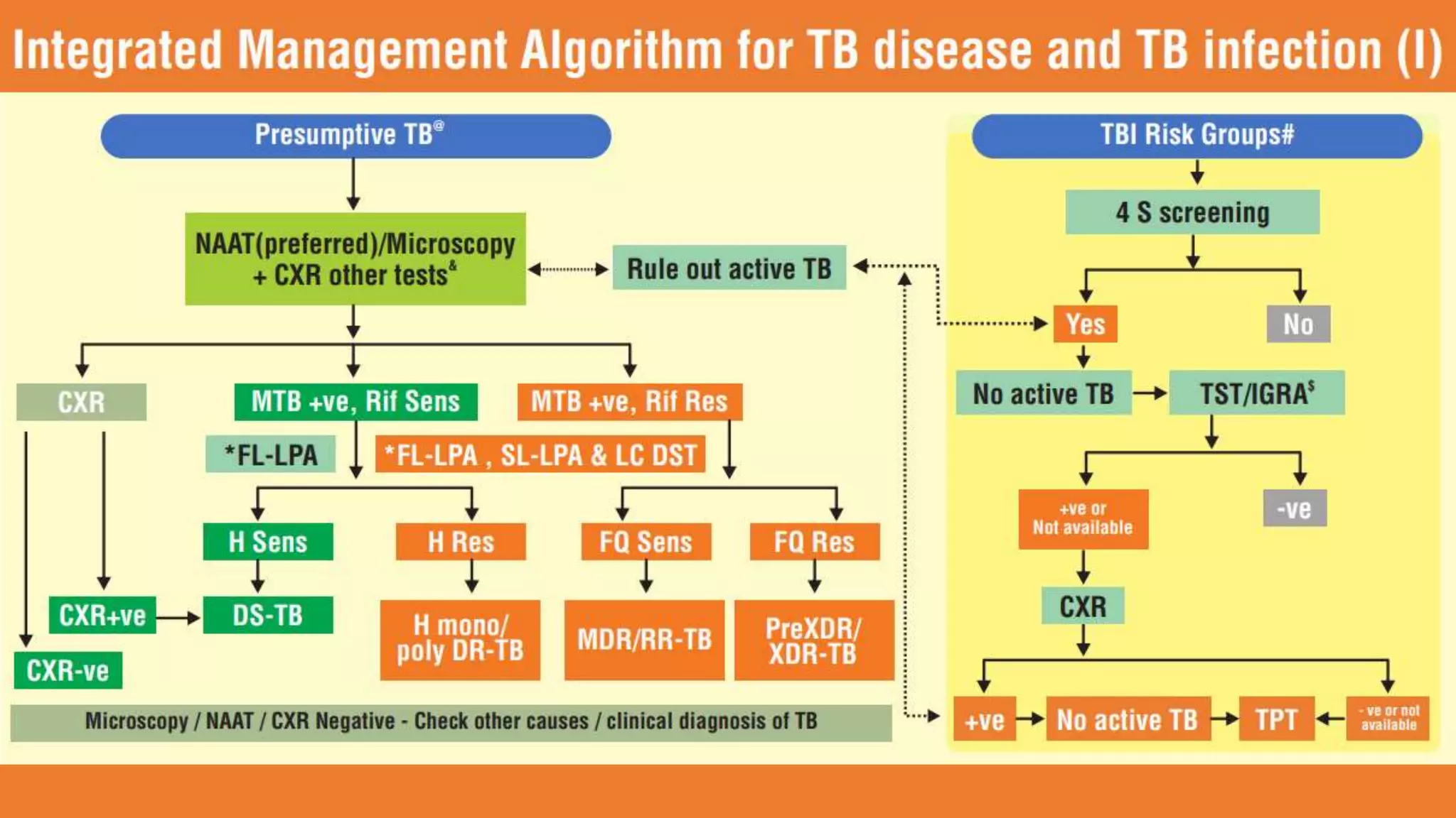 NTEP (National Tuberculosis Elimination Programme).pptx | Lung and ...