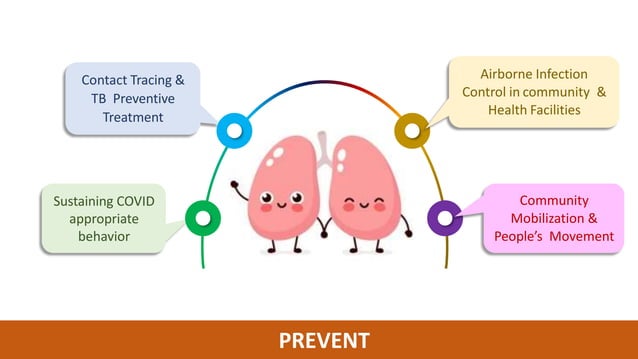 NTEP (National Tuberculosis Elimination Programme).pptx | Lung and ...
