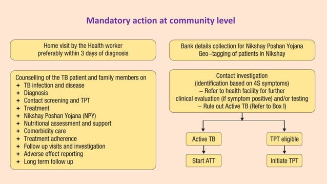 NTEP (National Tuberculosis Elimination Programme).pptx | Lung and ...