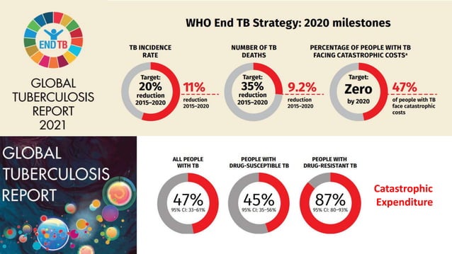 NTEP (National Tuberculosis Elimination Programme).pptx | Lung and ...