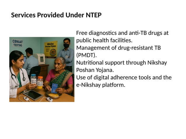 Download the revised NTEP_Presentation.pptx