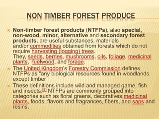 Introduction of Non Wood Forest Products | PPTX