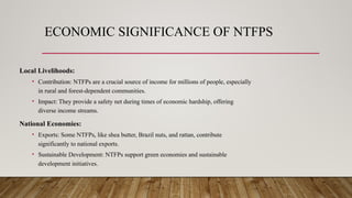 NTFP by shah non timber forest products.pptx