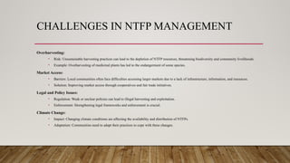NTFP by shah non timber forest products.pptx