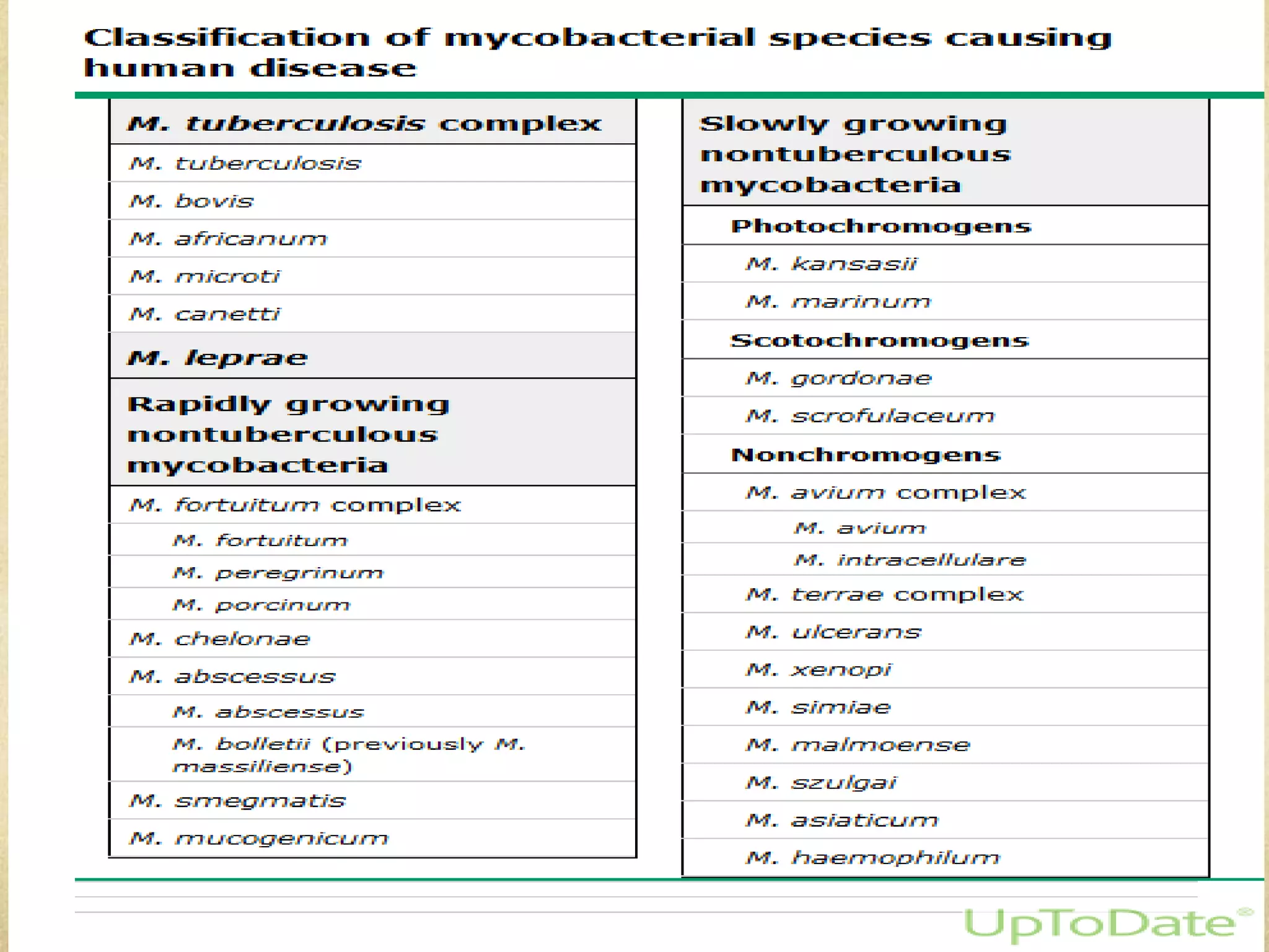 ATYPICAL MYCOBACTERIA | PPTX