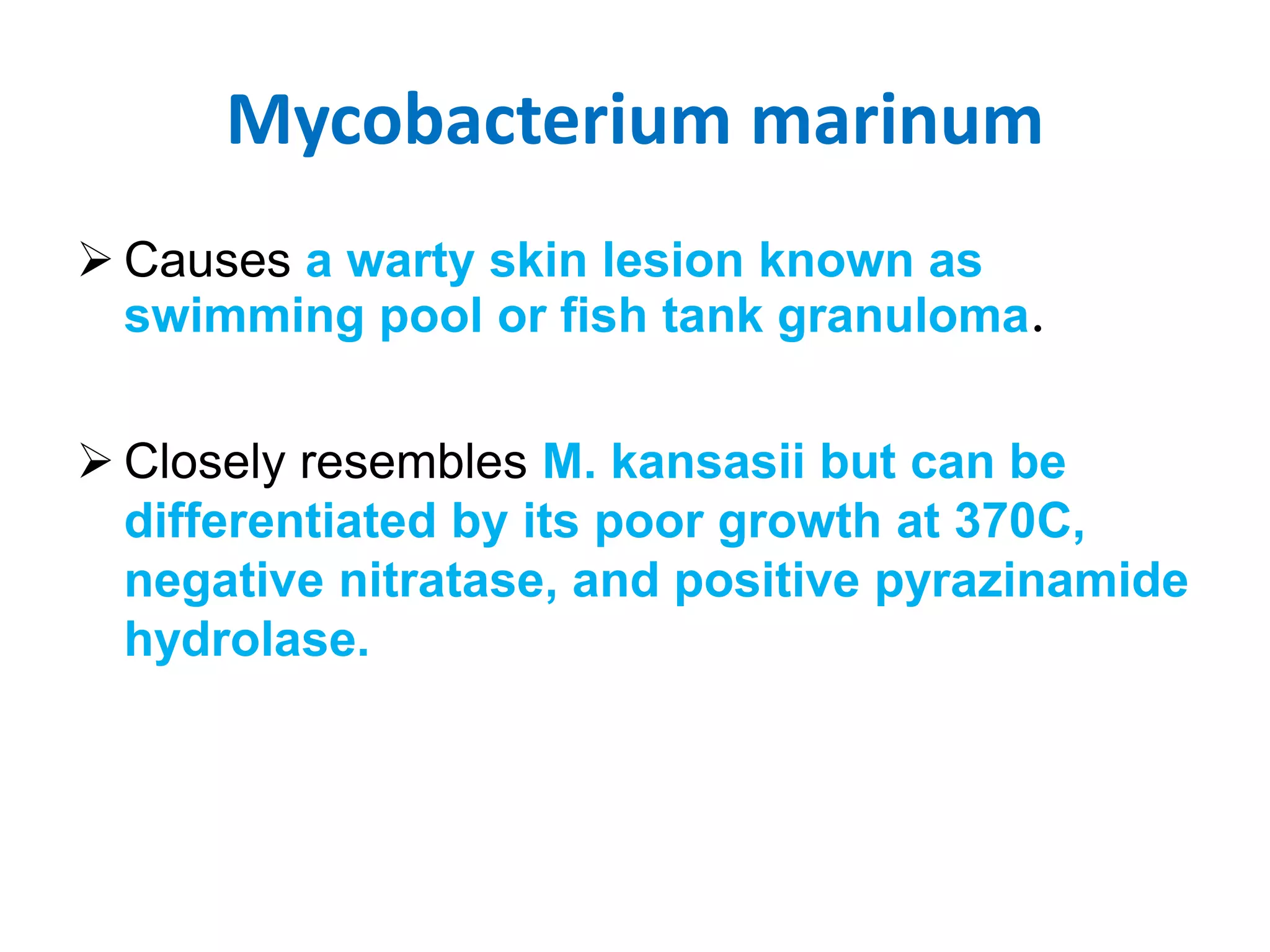 Non Tuberculous Mycobacteria | PPTX