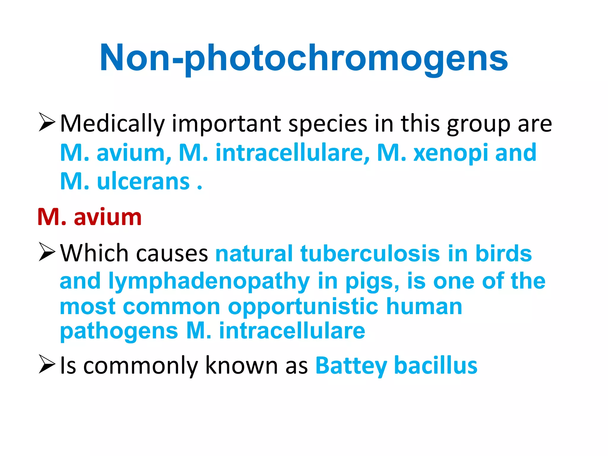 Non Tuberculous Mycobacteria | PPTX
