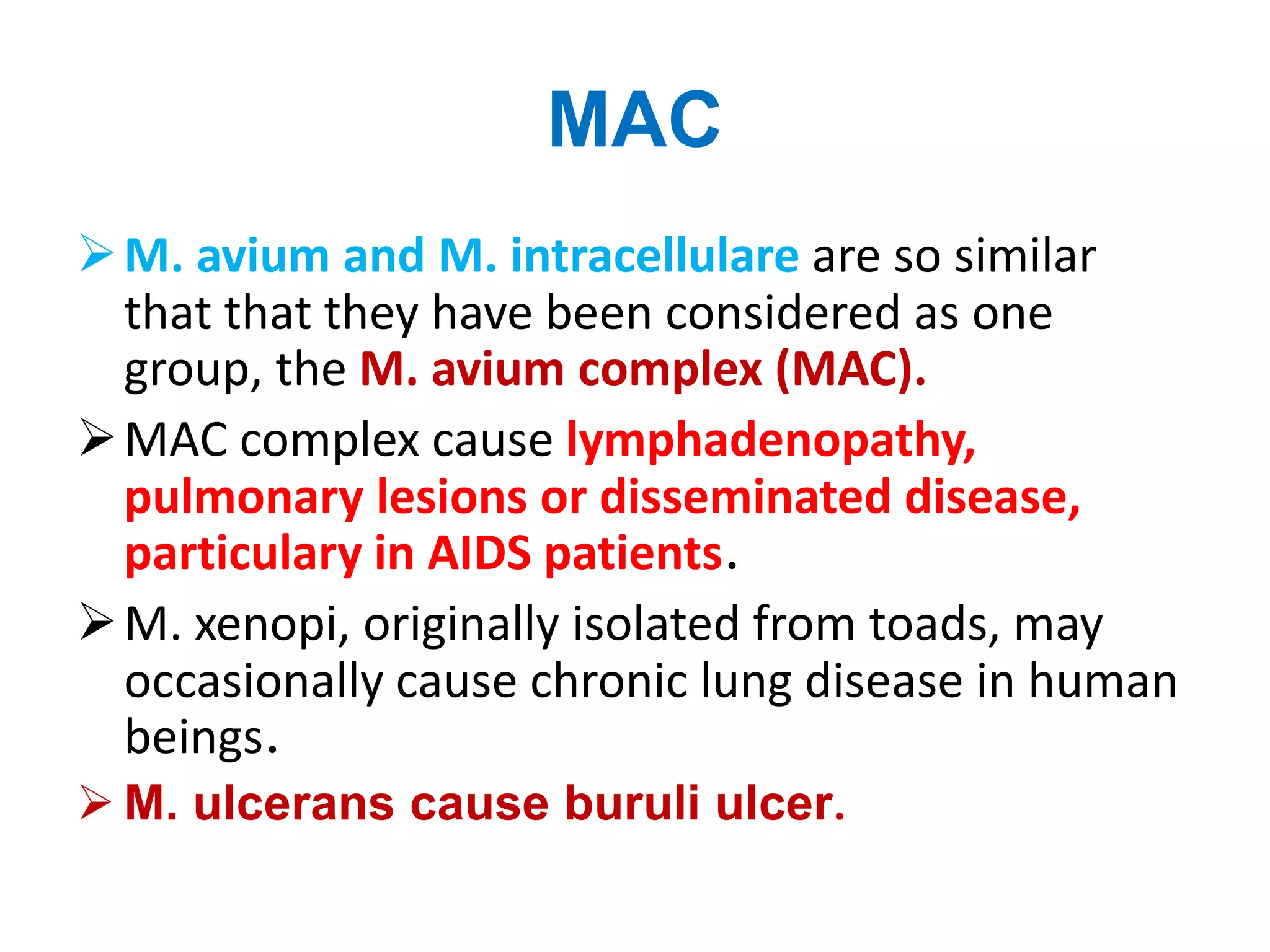 Non Tuberculous Mycobacteria | PPTX