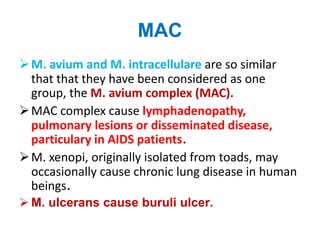 Non Tuberculous Mycobacteria | PPTX