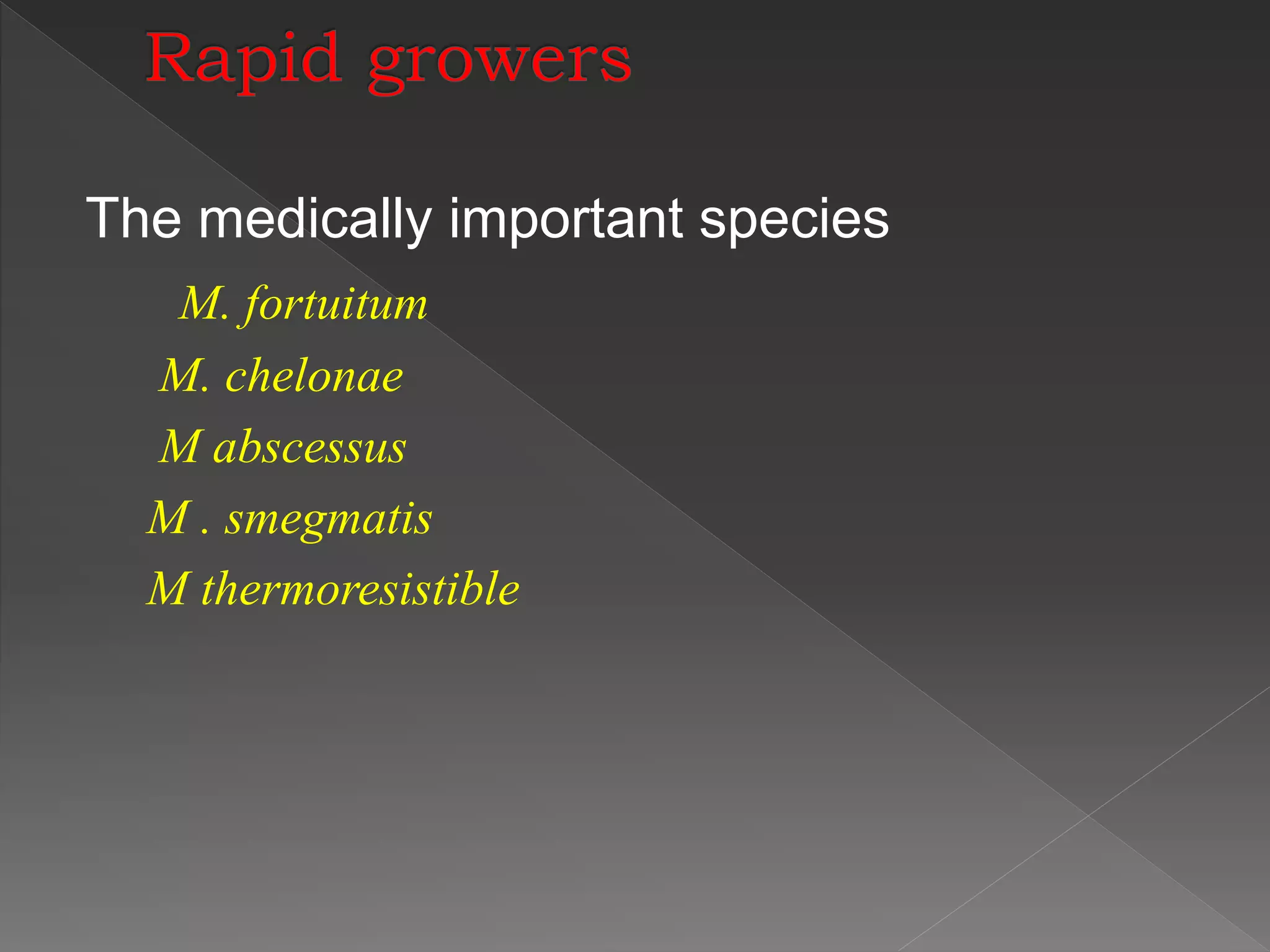NTM | PPTX | Diseases and Conditions | Medical Health