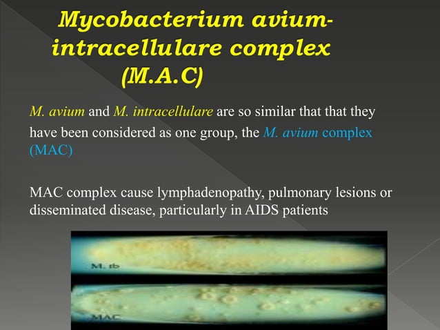 NTM | PPTX | Diseases and Conditions | Medical Health