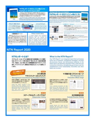 NTN Report 2020-2022 | PDF