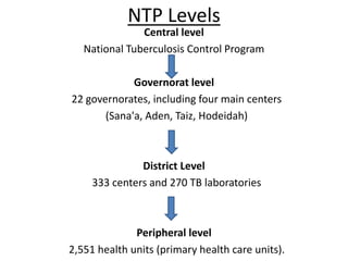 NTP Presentation central meeting, sana'a, Yemen | PPT
