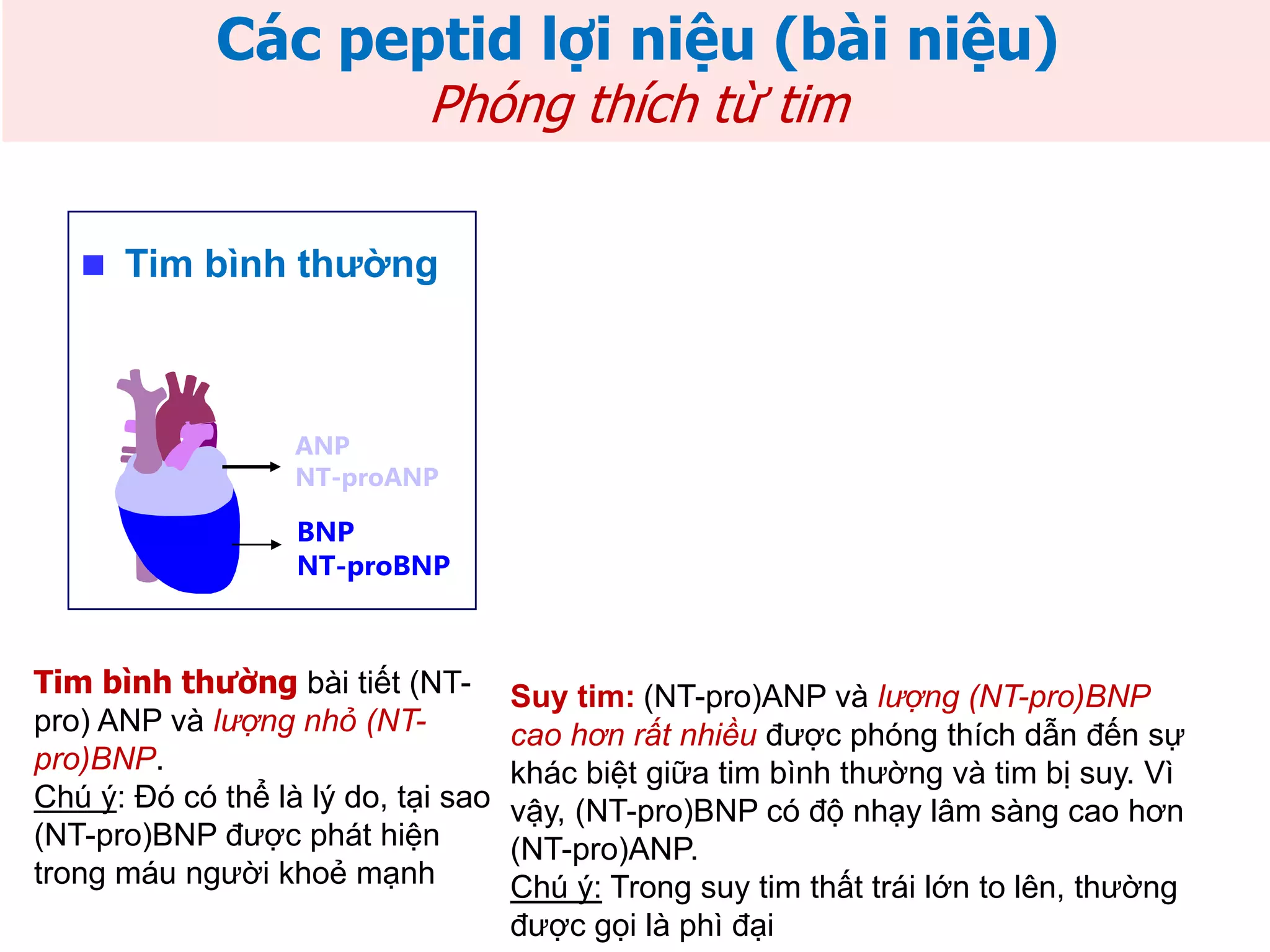 NT-proBNP trong chẩn đoán Suy tim | PDF