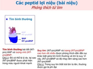 NT- proBNP trong Suy tim | PDF