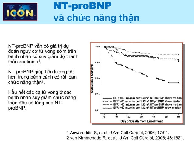 NT- proBNP trong Suy tim | PDF