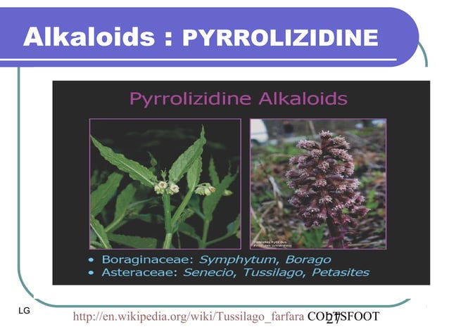 Alkaloids | PPT