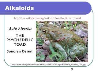 Alkaloids | PPT