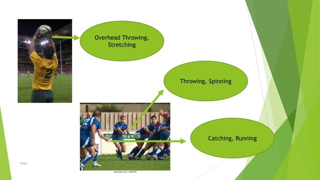 Developmental Experiences Presentation | PPT