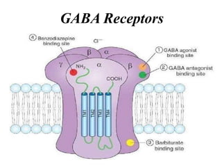 Neurohumoral Transmission in CNS | PPTX