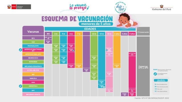 NTS Esquema de VAcuanción - DMUNI - N 196 -MINSA -DGIESP 2022- OK (1).pdf NTS Esquema de VAcuanción - DMUNI - N 196 -MINSA -DGIESP 2022- OK (1).pdf