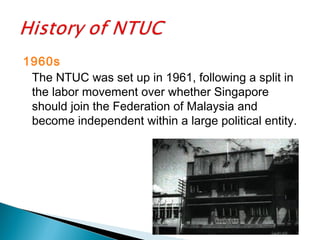Ntuc coops and social enterpises | PPT