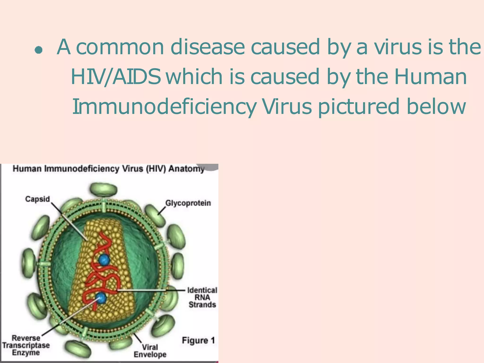 Grade 8: Microorganisms. | PPTX