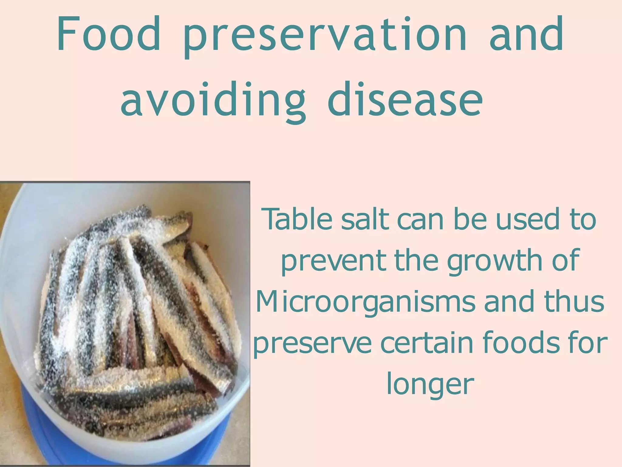 Grade 8: Microorganisms. | PPTX