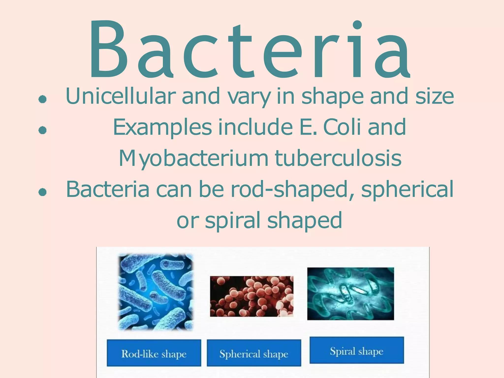 Grade 8: Microorganisms. | PPTX