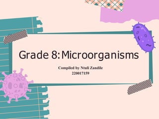 Grade 8: Microorganisms. | PPTX
