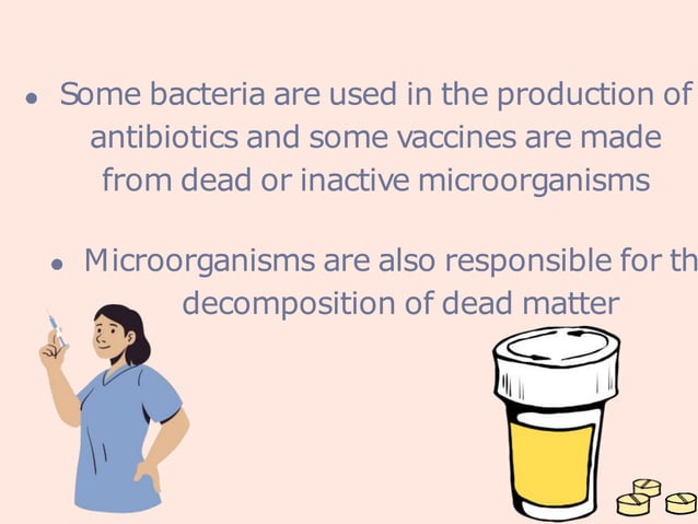 Grade 8: Microorganisms. | PPTX | Biological Sciences | Science