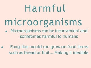 Grade 8: Microorganisms. | PPTX