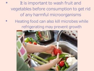 Grade 8: Microorganisms. | PPTX