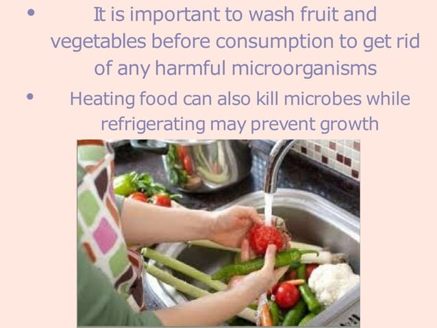 Grade 8: Microorganisms. | PPTX | Biological Sciences | Science