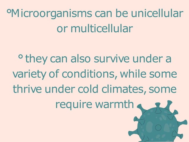 Grade 8: Microorganisms. | PPTX | Biological Sciences | Science