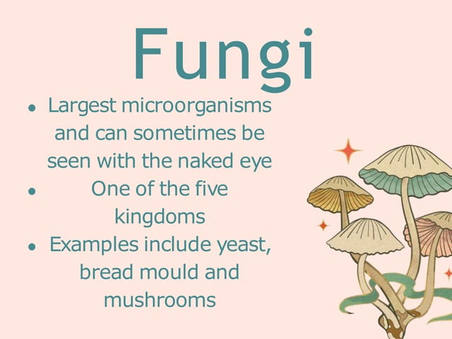 Grade 8: Microorganisms. | PPTX | Biological Sciences | Science