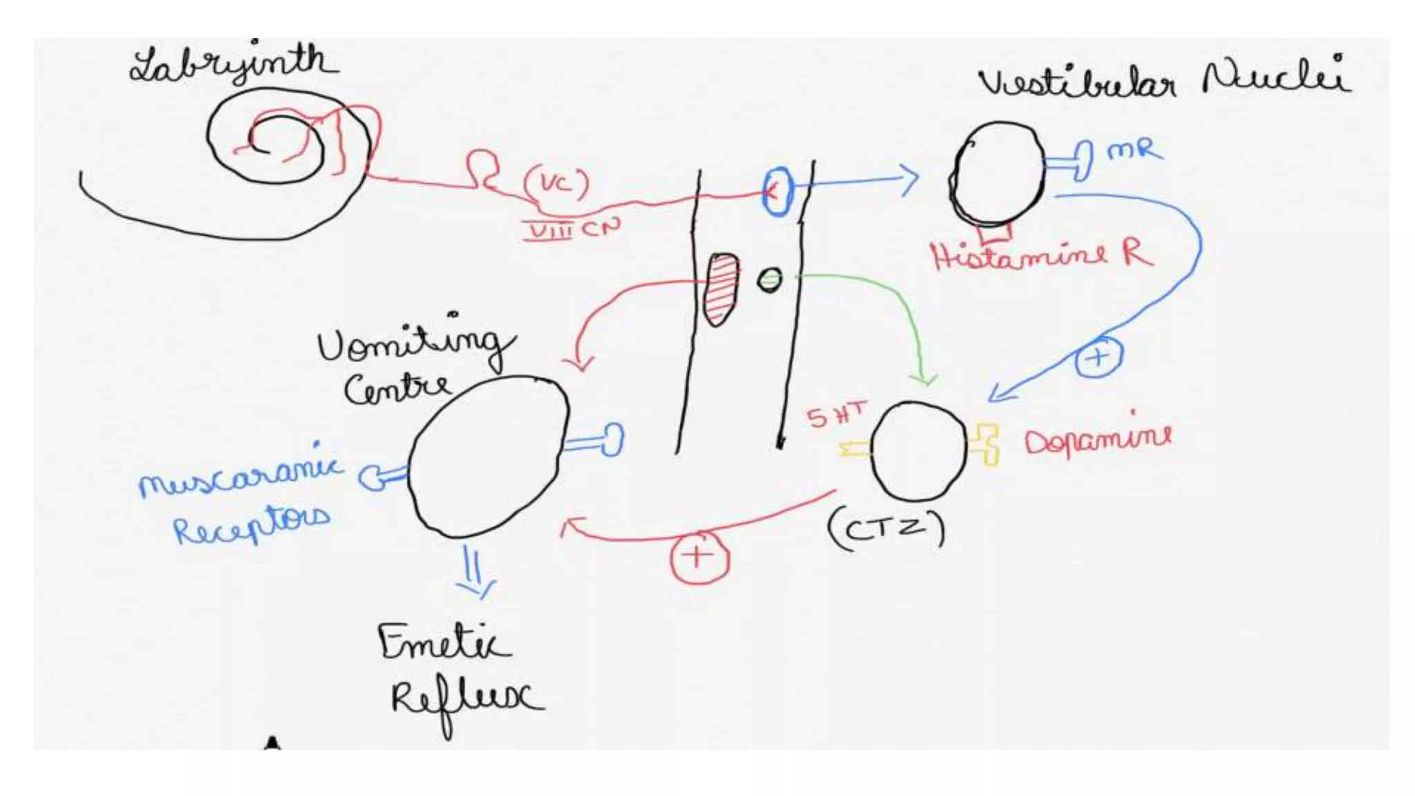 Nausea and Vomiting - Approach in the Emergency Department | PPTX