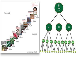 Nucafe - Digitalisation for certification and traceability | PPTX