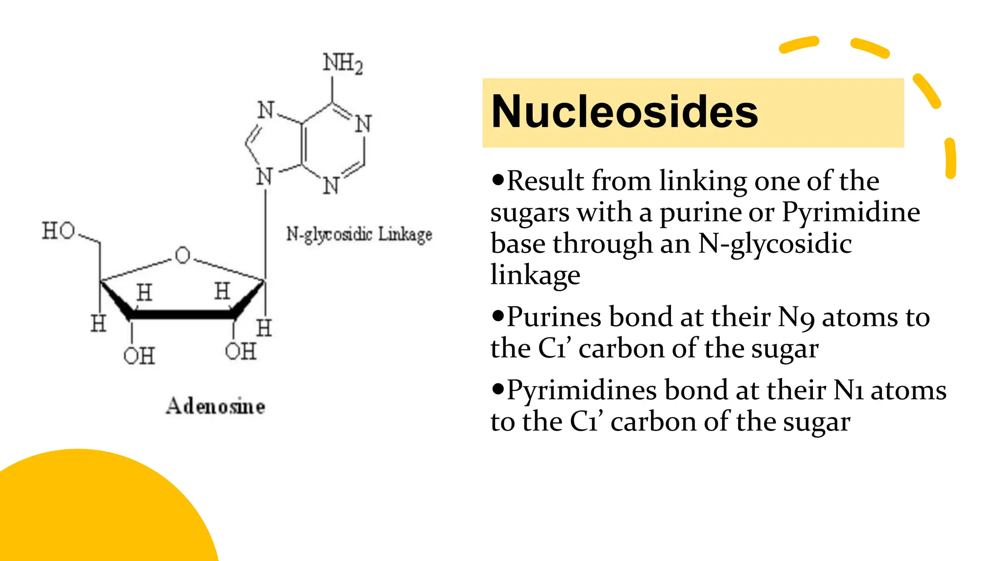 nucelic acid chemistry & DNA structure.pptx