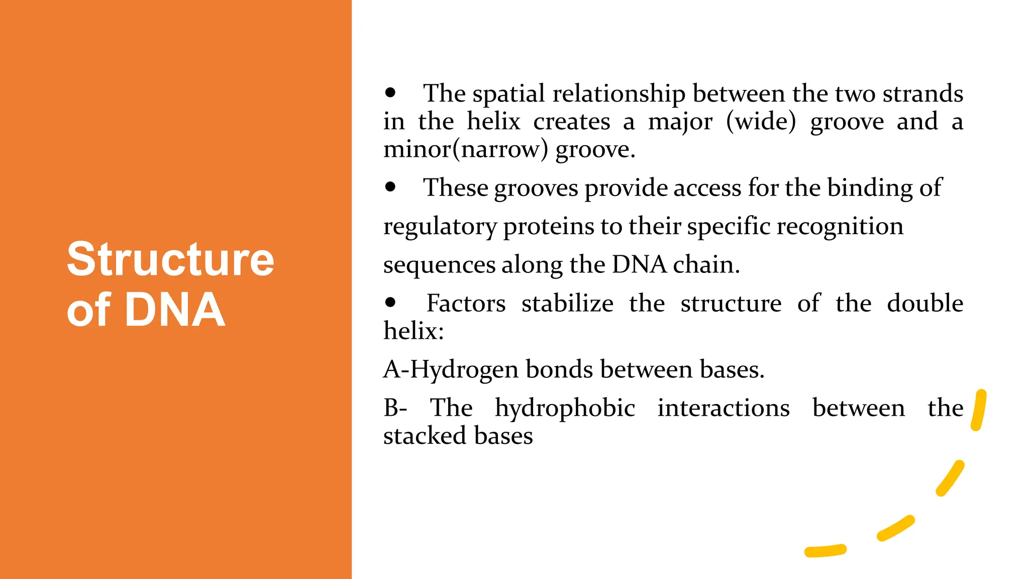 nucelic acid chemistry & DNA structure.pptx