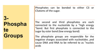 nucelic acid chemistry & DNA structure.pptx