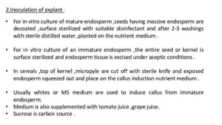 Nucellus and endosperm culture | PPTX